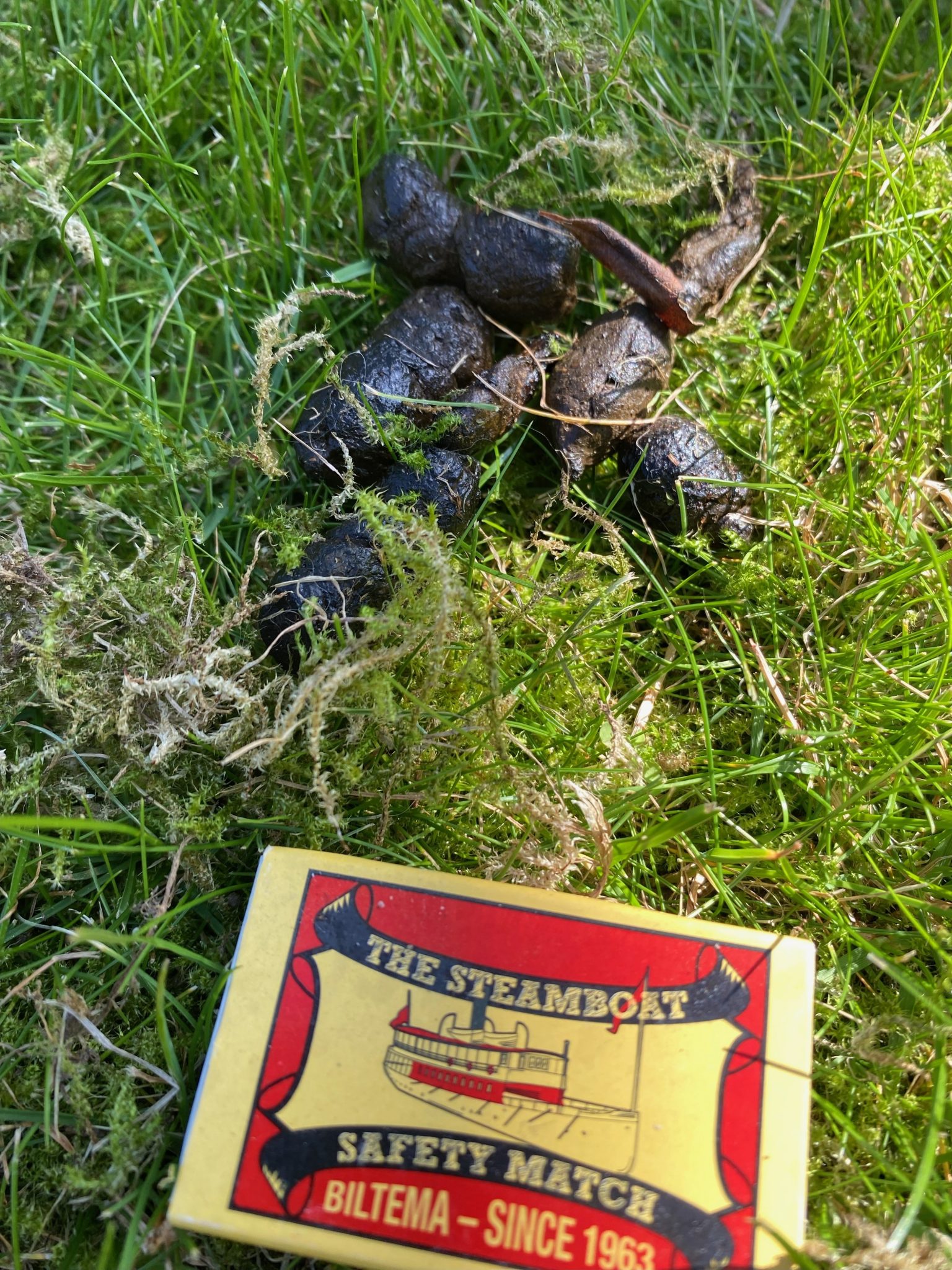 Vad är det för spillning? – Fråga en Biolog